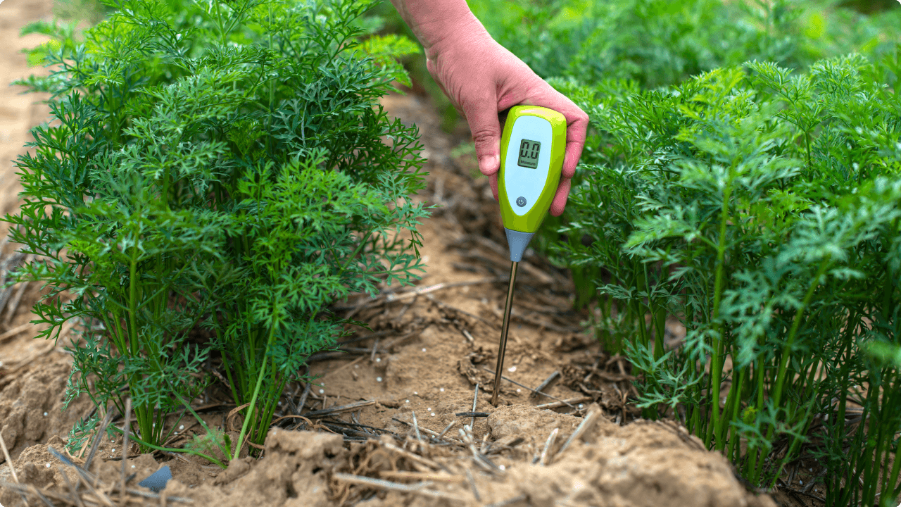 Análise de solo: o que é, como fazer e interpretar - Sinergia Científica